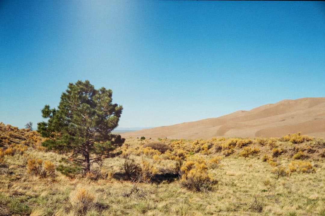 Colorado Springs Soil Composition